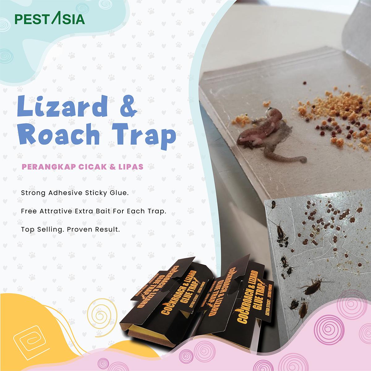 Cockroach And Lizard Sticky Glue Trap - PEST ASIA